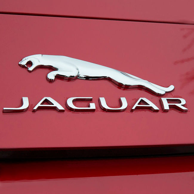 Jaguar auf der Jagd nach Automarke
