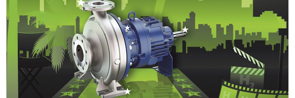 Pumpen und Armaturen-Stars für den (Wasser-)Stoff, aus dem grüne Träume ...