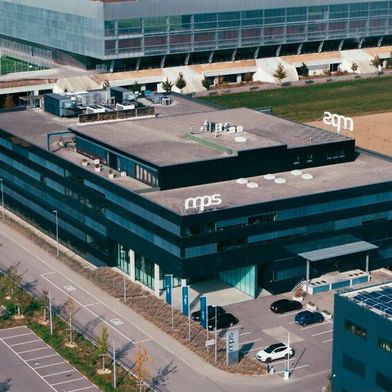 Plus minuscules qu'une tête de mouche!