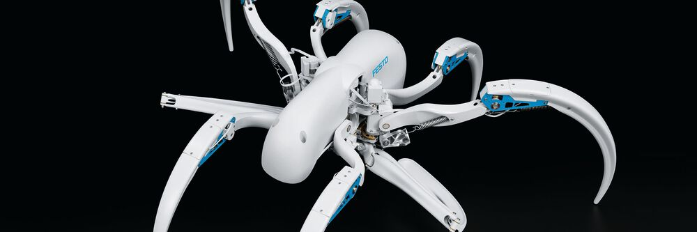 Was ist eigentlich Bionik?