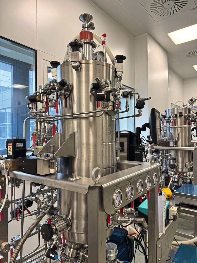 Proteinbasierte Süßungsmittel: Mit Biotechnologie zum Zuckerersatz