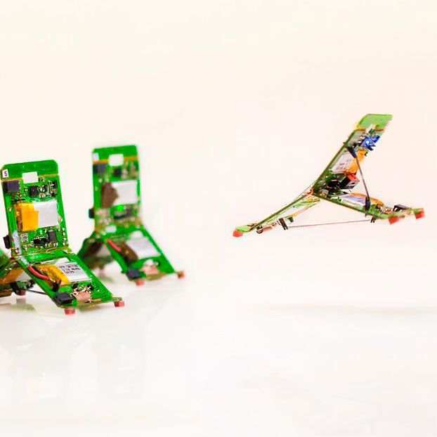 Robot-Ants Inspired by Nature