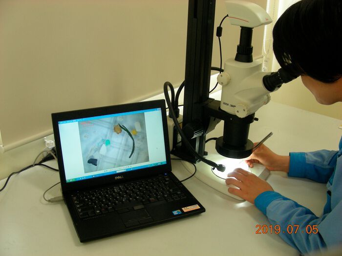 How Old is that Microplastic? A New way to Estimate the Age of ...