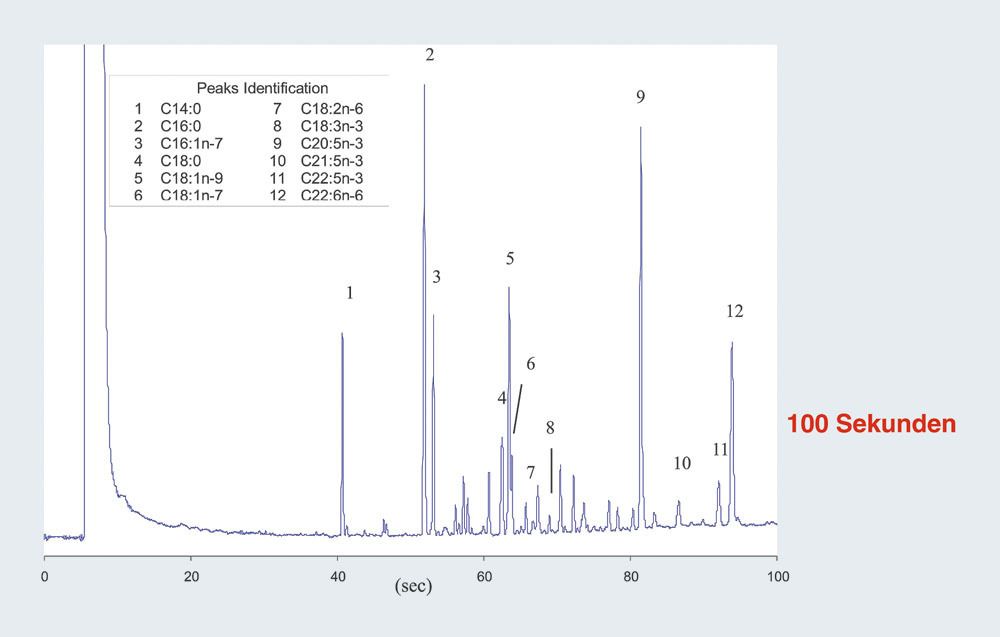 Bestimmung von Fettsäure-Methylestern mit Ultra-Fast-GC || Bild 3 / 7