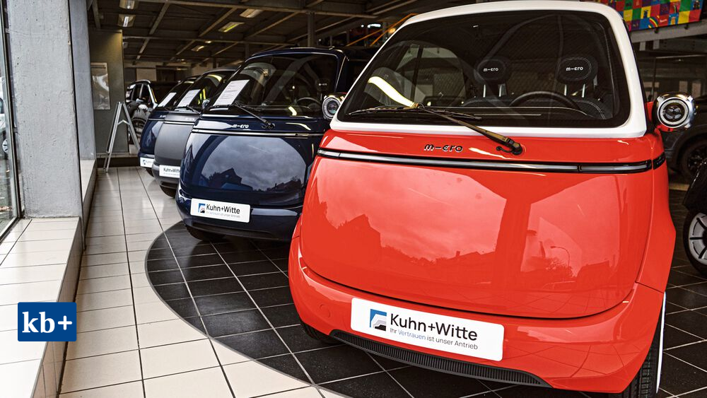 Elegantes Kuhn Und Witte Bildnull