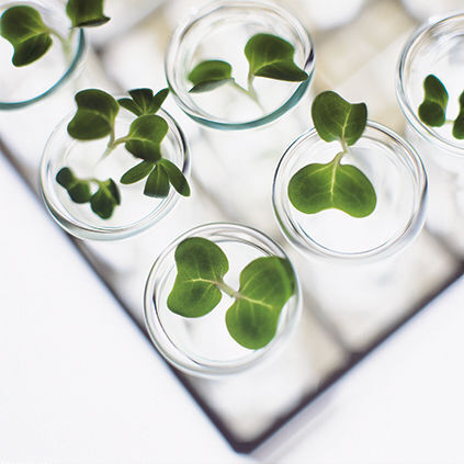 Perstorp Launches Portfolio of Renewable Polyols