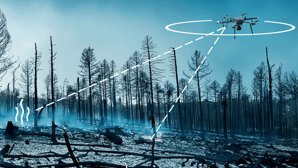 Drones can detect smoldering embers in forests