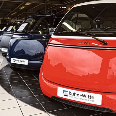 Elegantes Kuhn Und Witte Bildnull