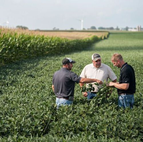 Syngenta Restructures to Launch Syngenta Group