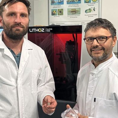 Bioresorbierbare Gitterstrukturen sollen Knochendefekte heilen