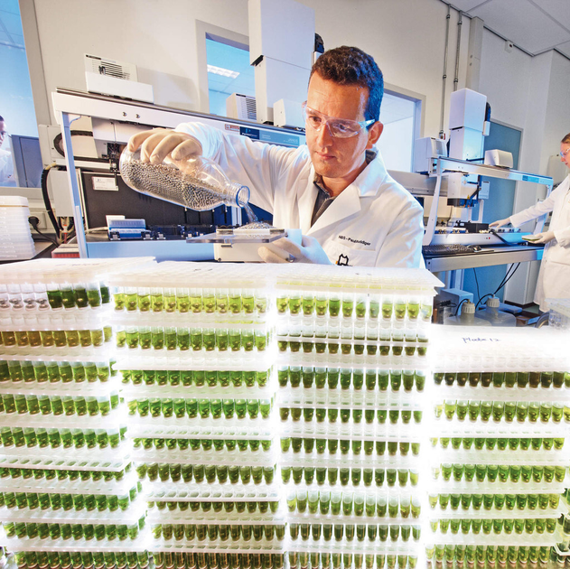 Bayer CropScience to Invest EUR 12 Million in Australian Breeding Center