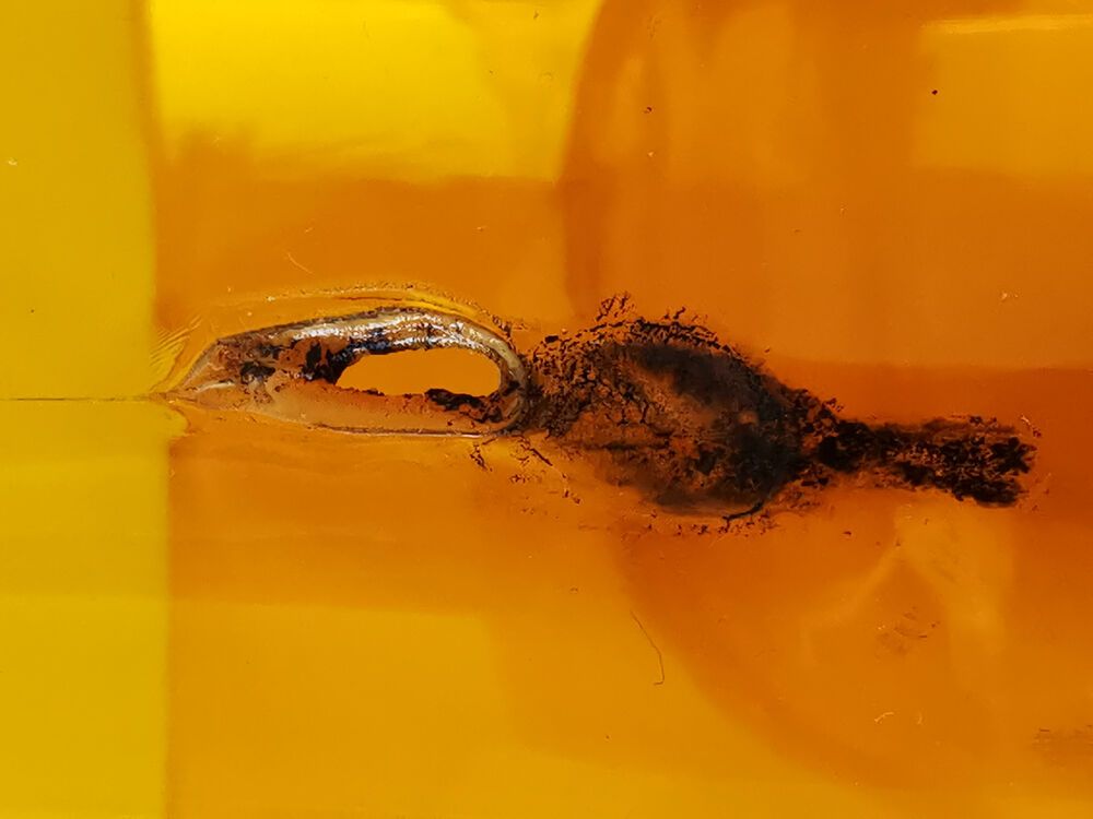 Optimization of injection molding tools: project venting