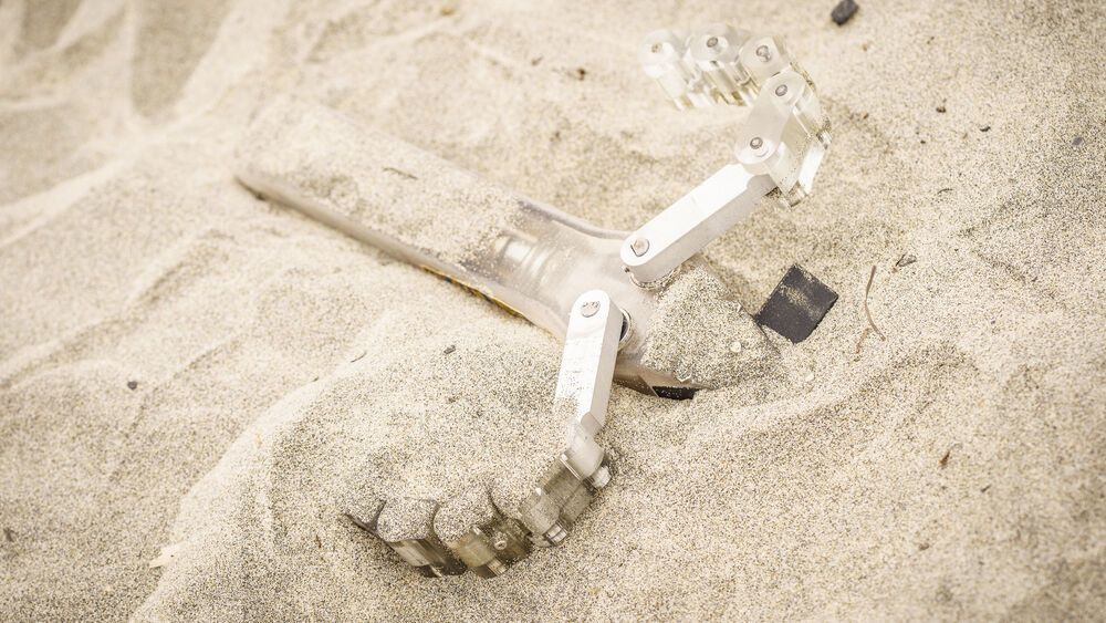Bionischer Roboter, der durch Sand schwimmen kann | headimagebottalk