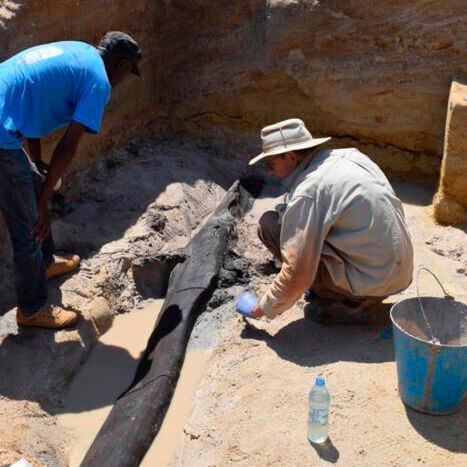 Archaeologists Discover World’s Oldest Wooden Structure