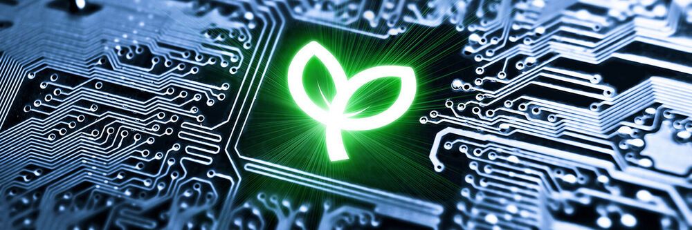 Kann, Soll, Pflicht: Digital grüner werden