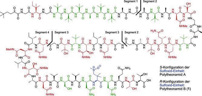Chemie XXL: Moleküle in Übergröße