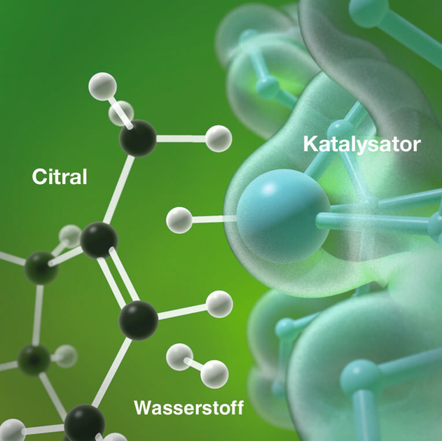Neue Synthese für L-Menthol von BASF