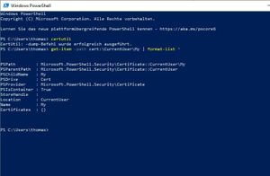 Zertifikate in Windows mit der PowerShell verwalten || Bild 3 / 5
