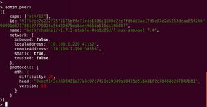 So erstellen Sie Ihre private Blockchain mit Raspberry Pi || Bild 1 / 7