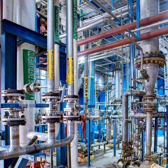 BASF Finalizes Sale of Mexican Oleochemical Surfactants Business