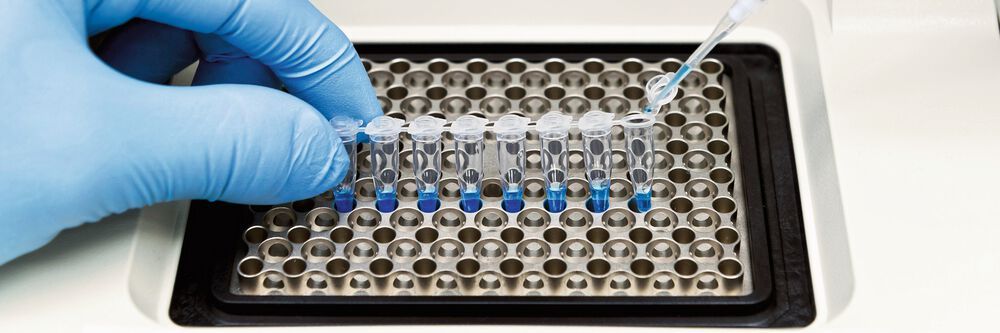 PCR-Test: Mit Infrarot-Sensoren die DNA analysieren