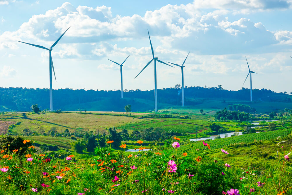 What is wind energy? Definition, types and more