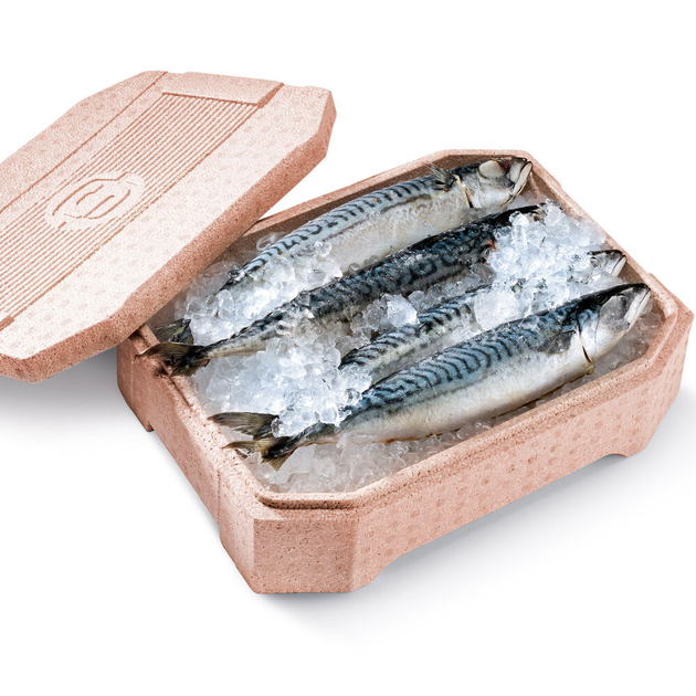 Ressourcenschonend Fische verpacken